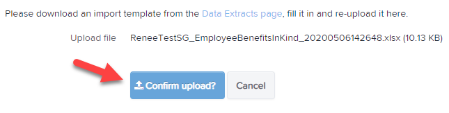 Importing Other Income/Benefits Data – Your Payroll (SG)