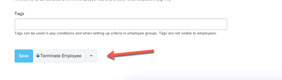 Terminate Employee from Employee Details – Your Payroll (UK)